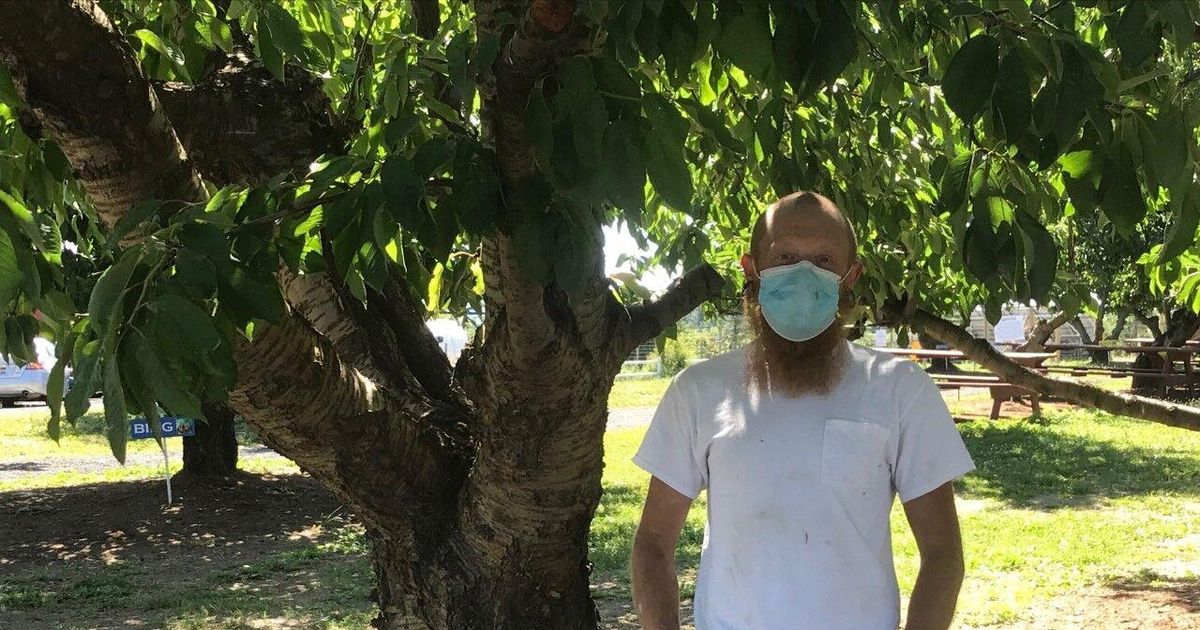 Green Bluff ready for the picking as growers ensure safety during ...
