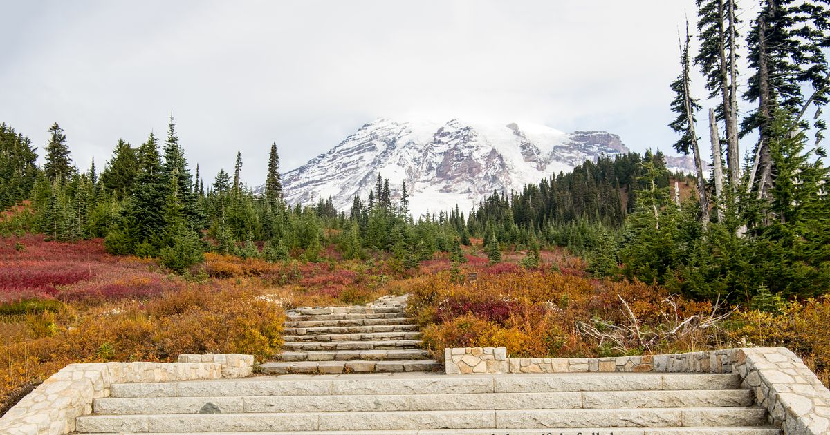 Reader photo: High-altitude colors