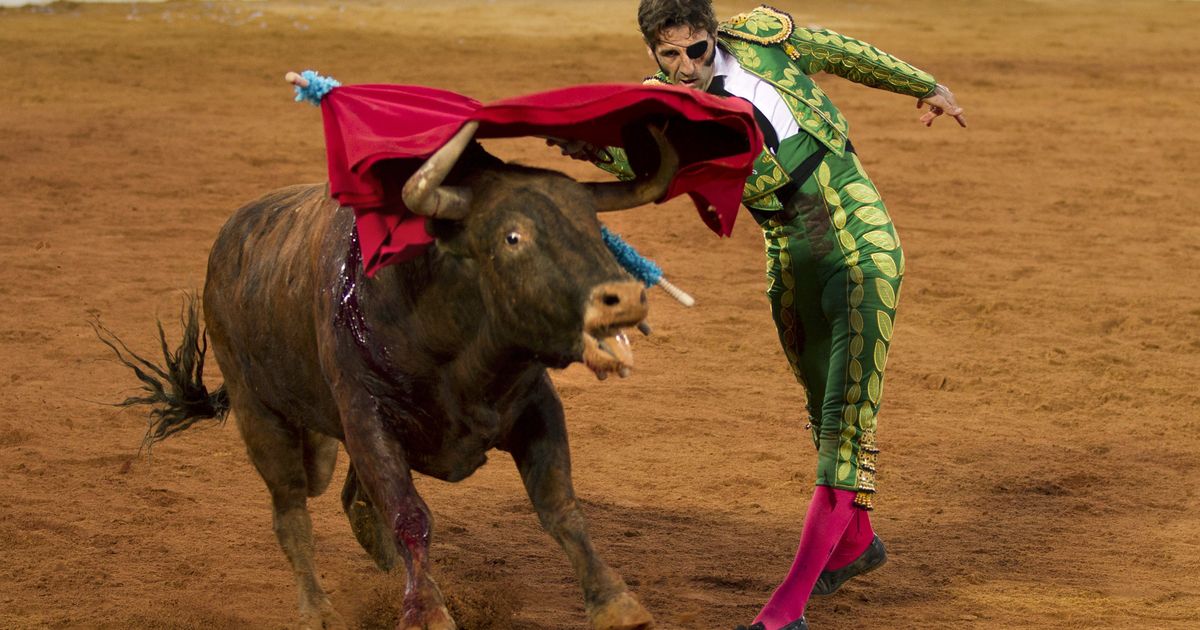 One-eyed bullfighter returns