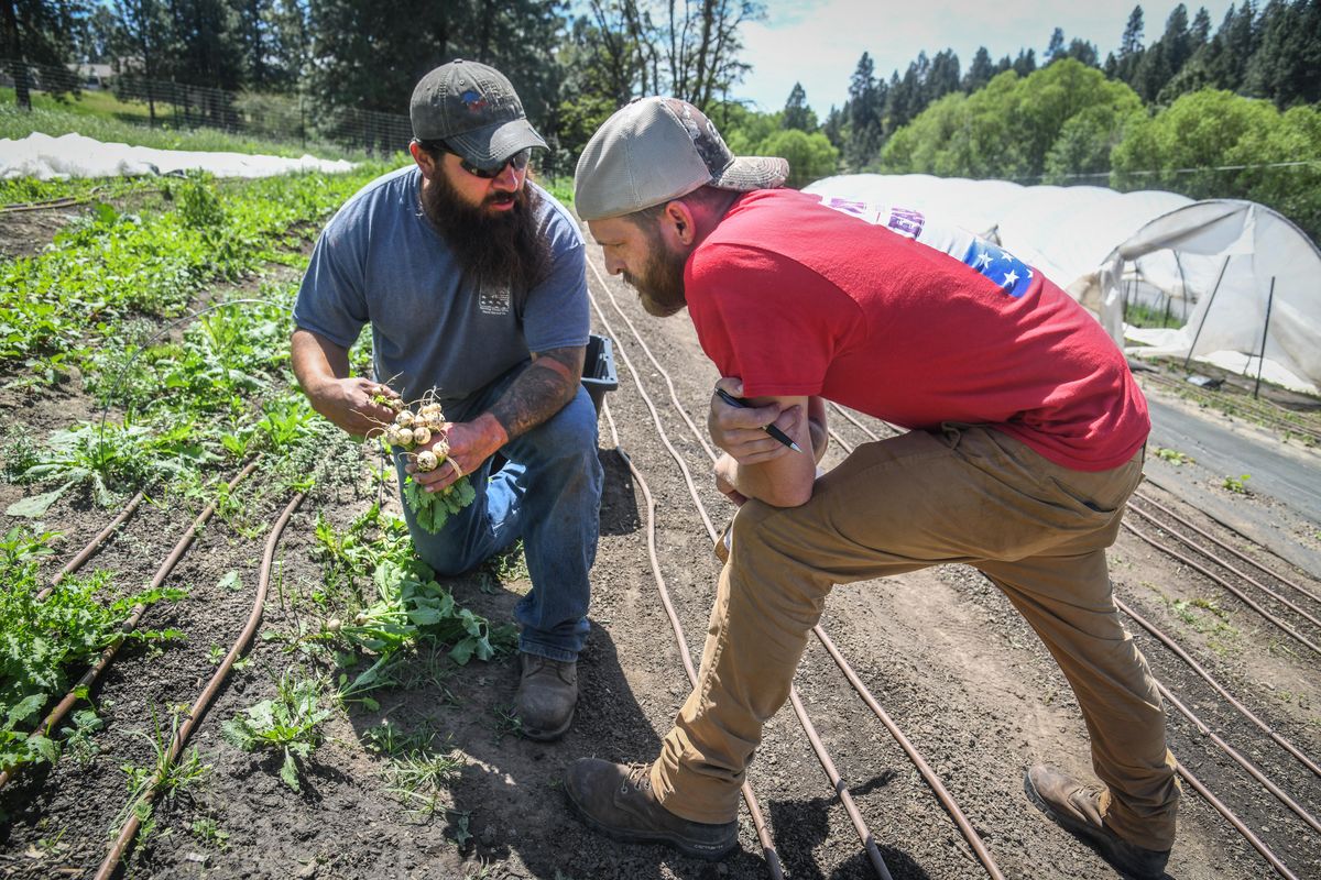 South Spokane Farm Corridor | The Spokesman-Review
