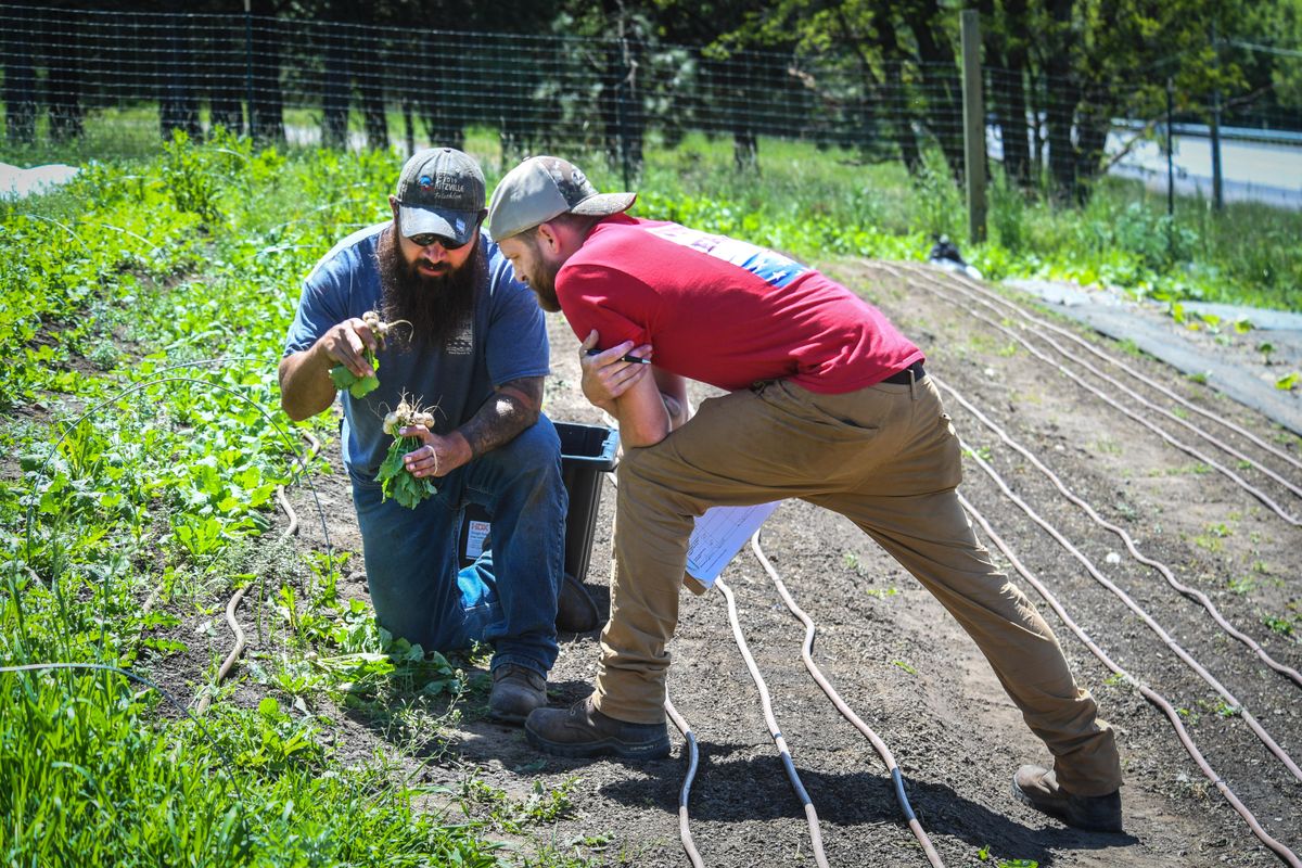 South Spokane Farm Corridor - May 28, 2020 | The Spokesman-Review
