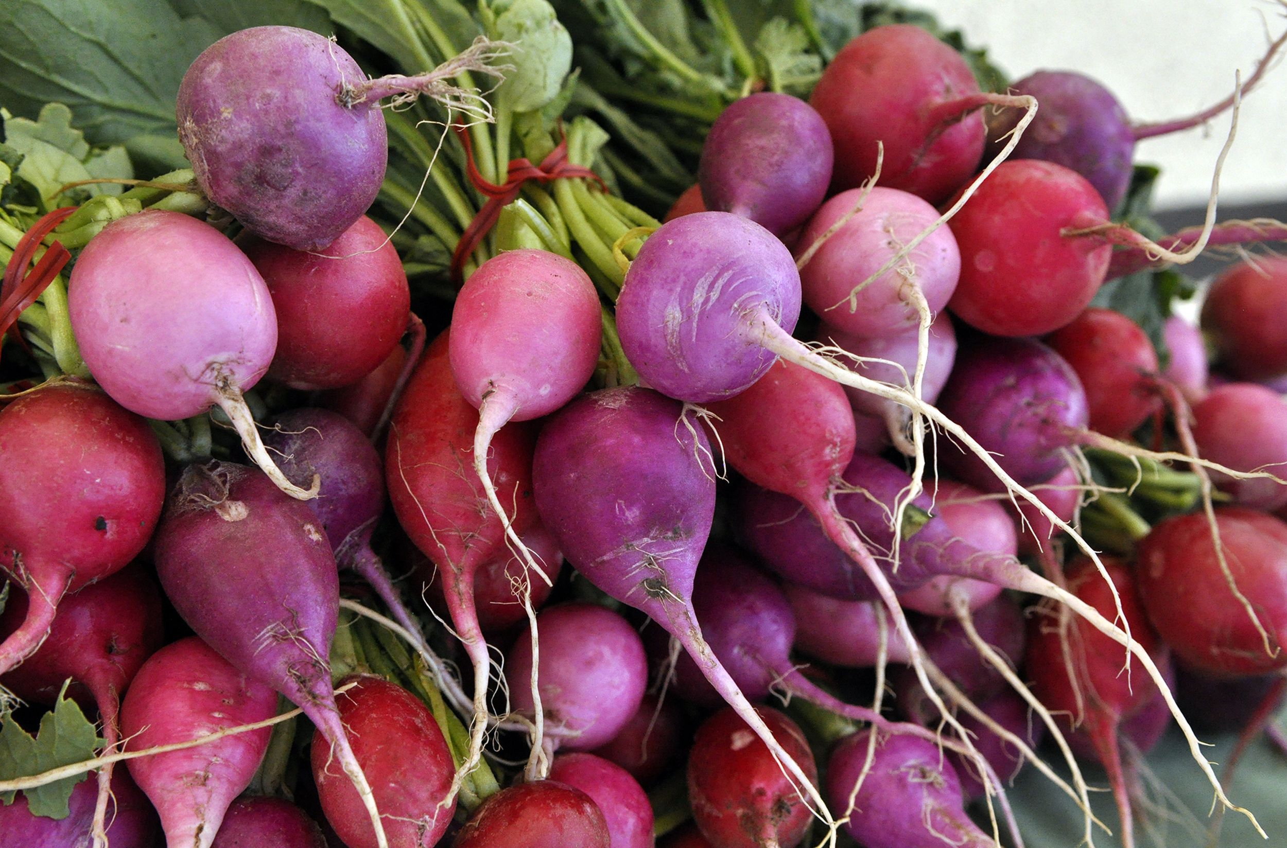 Easter egg radishes add peppery bite to summer dishes