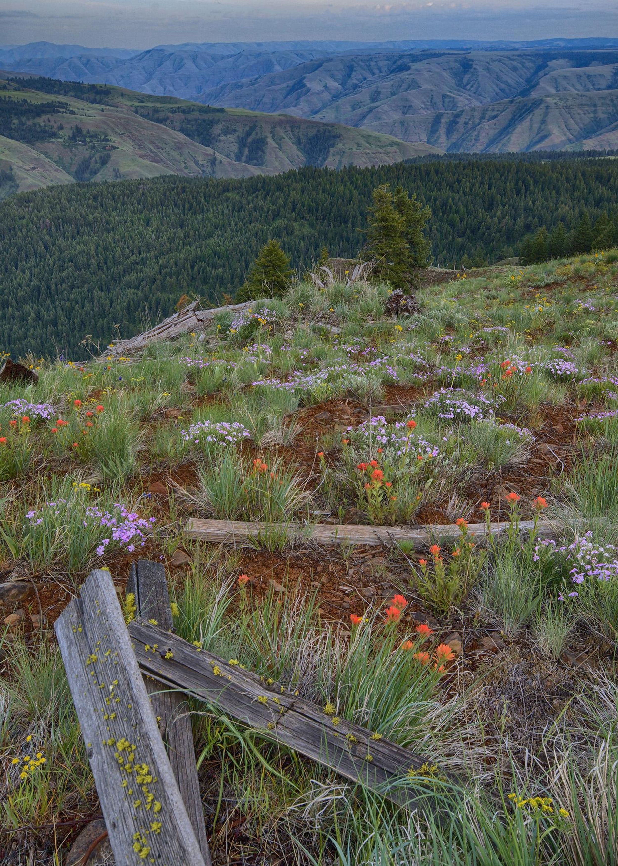 4-O Ranch Wildlife Area dedicated - June 4, 2016 | The Spokesman-Review