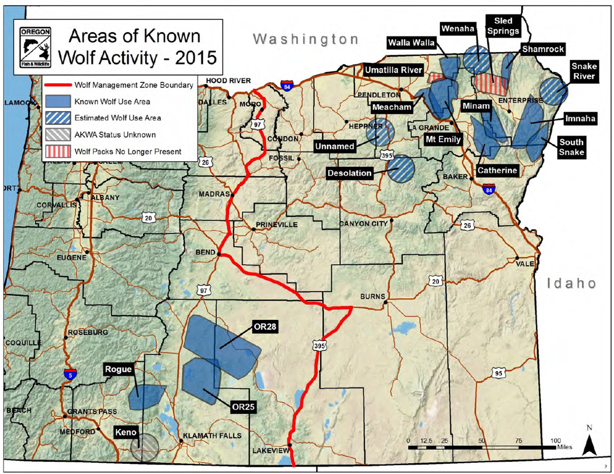 Oregon wolves continue to expand, 2015 report shows | The Spokesman-Review