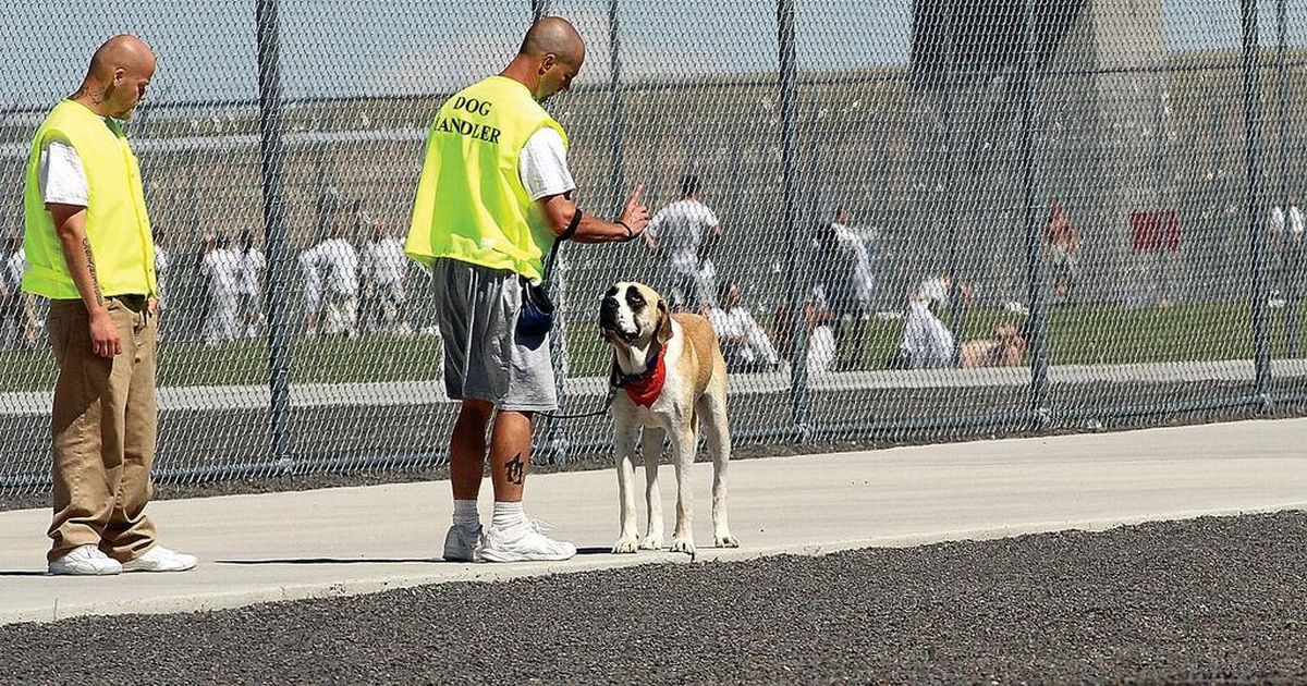 Coyote Ridge Corrections Center nears 200 confirmed cases of COVID-19