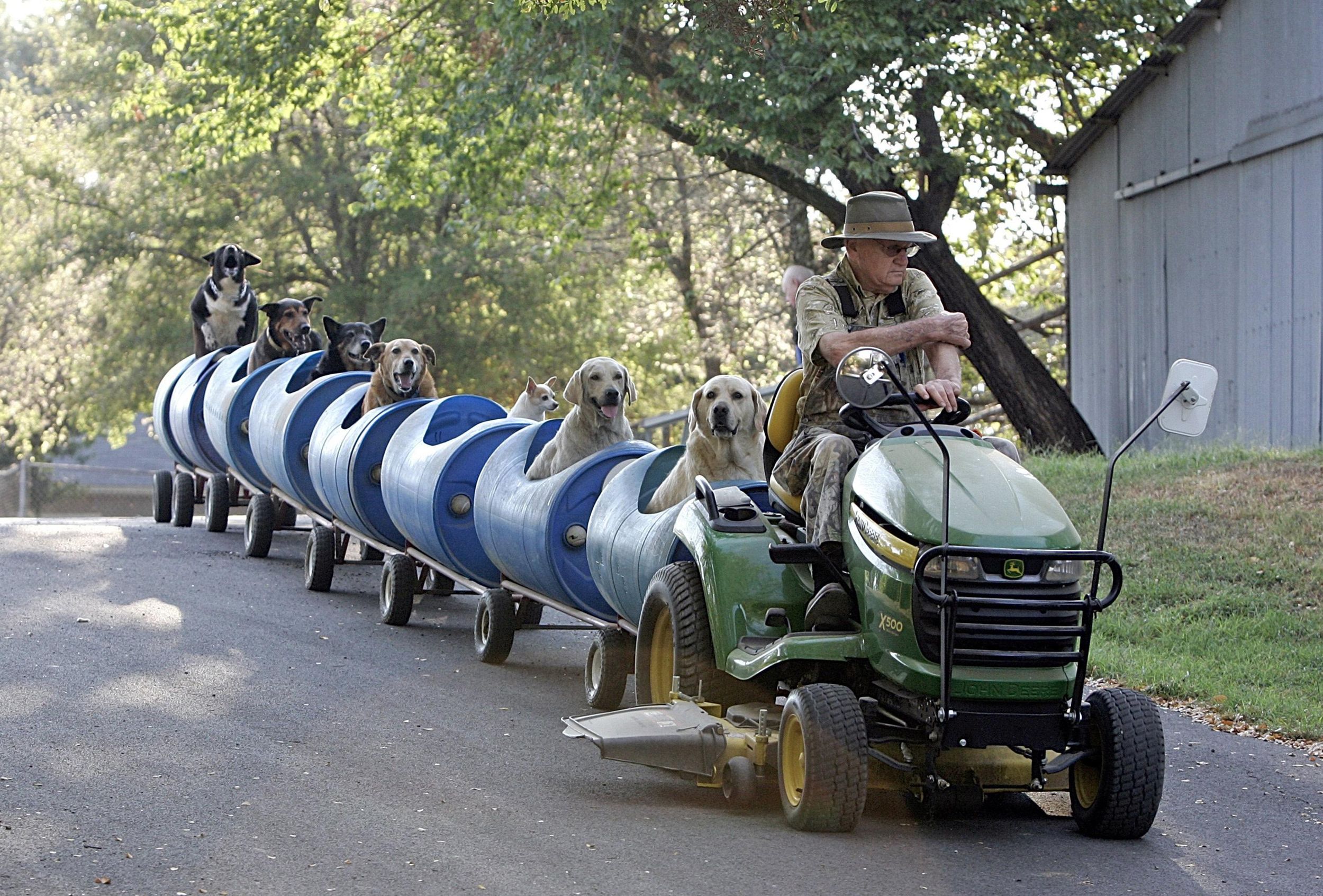 Dog train takes rescues for a ride | The Spokesman-Review