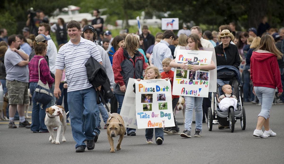 Pitbull Owners Fight Town Ban | The Spokesman-Review