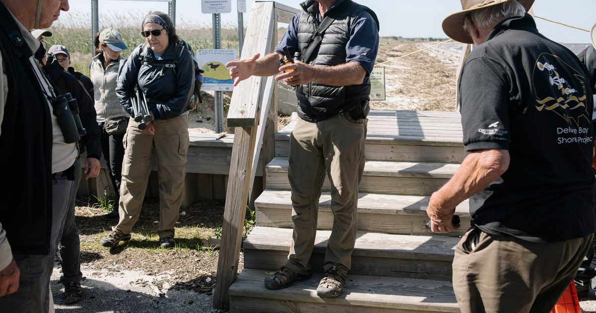 A Planned Restart of a Crab Harvest Pits Conservation Against Industry