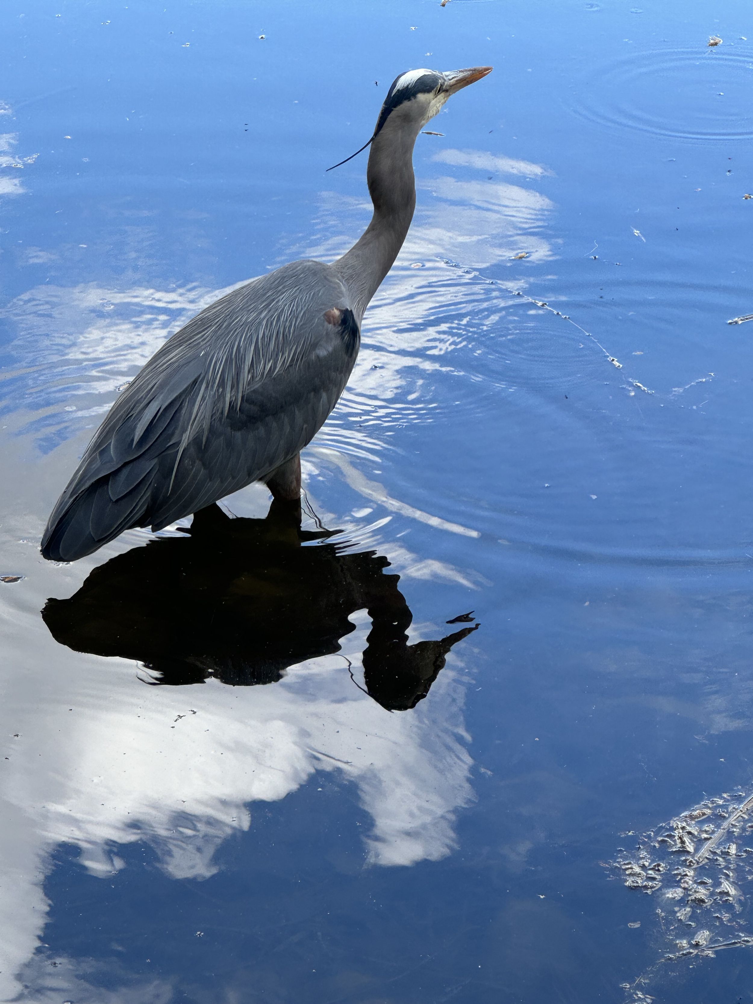 Your Outdoor Photos: March 2024 - March 1, 2024 | The Spokesman-Review