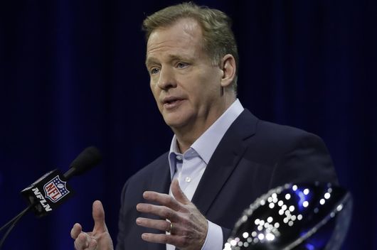 Couch Slouch: Down-on-his-luck porcupine could do what Roger Goodell ...