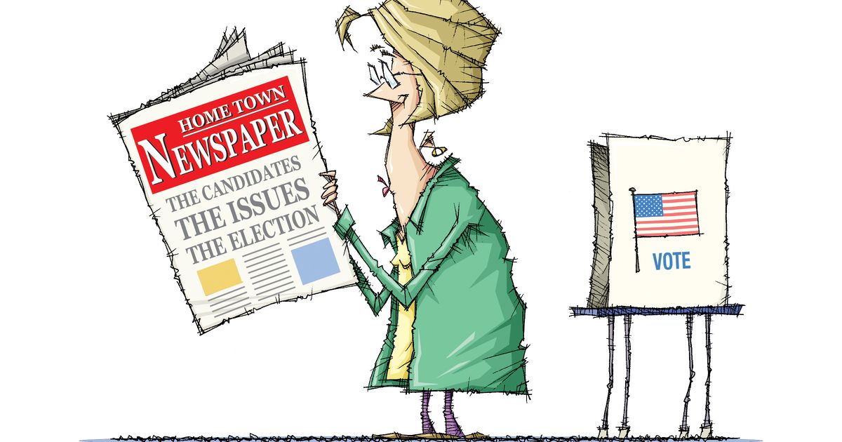 Tim Campbell cartoon