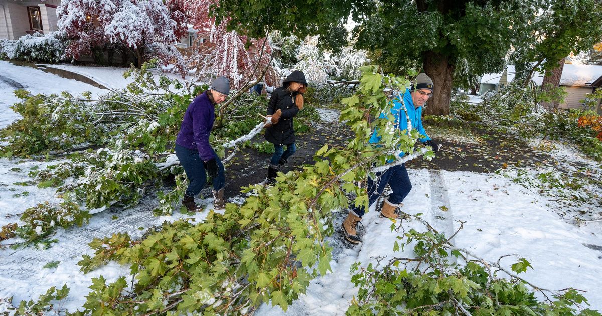 Surprise October snow in Spokane knocks out power, blocks streets ...