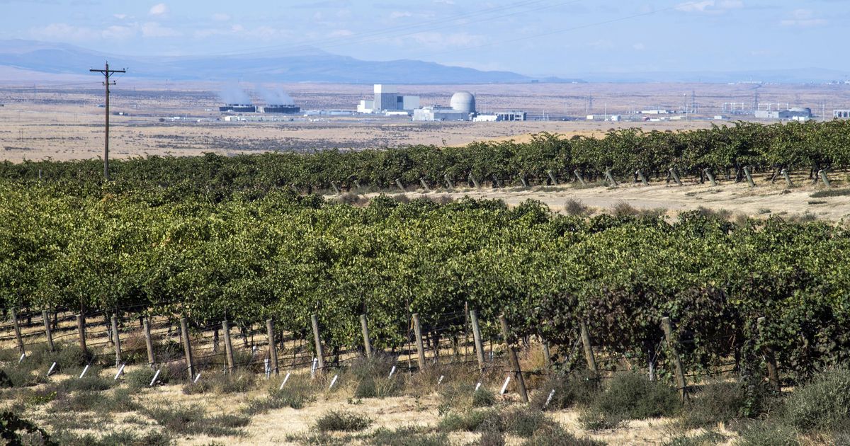 Washington’s 14 American Viticultural Areas