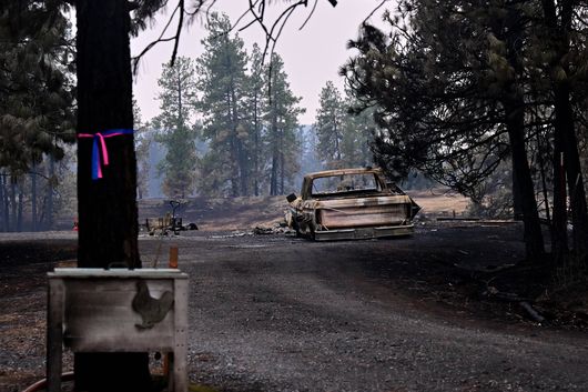 Law firm investigating Gray fire as residents realize total ...