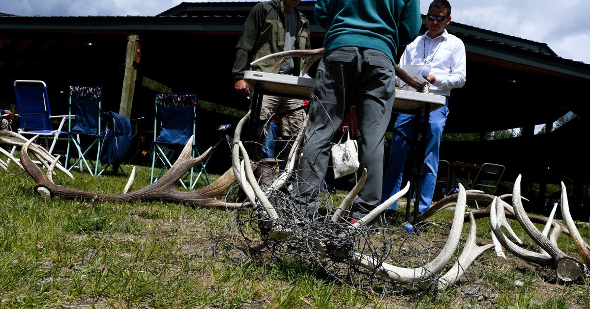 Colville Tribe celebrates Sinixt ruling - May 28, 2021 | The Spokesman ...