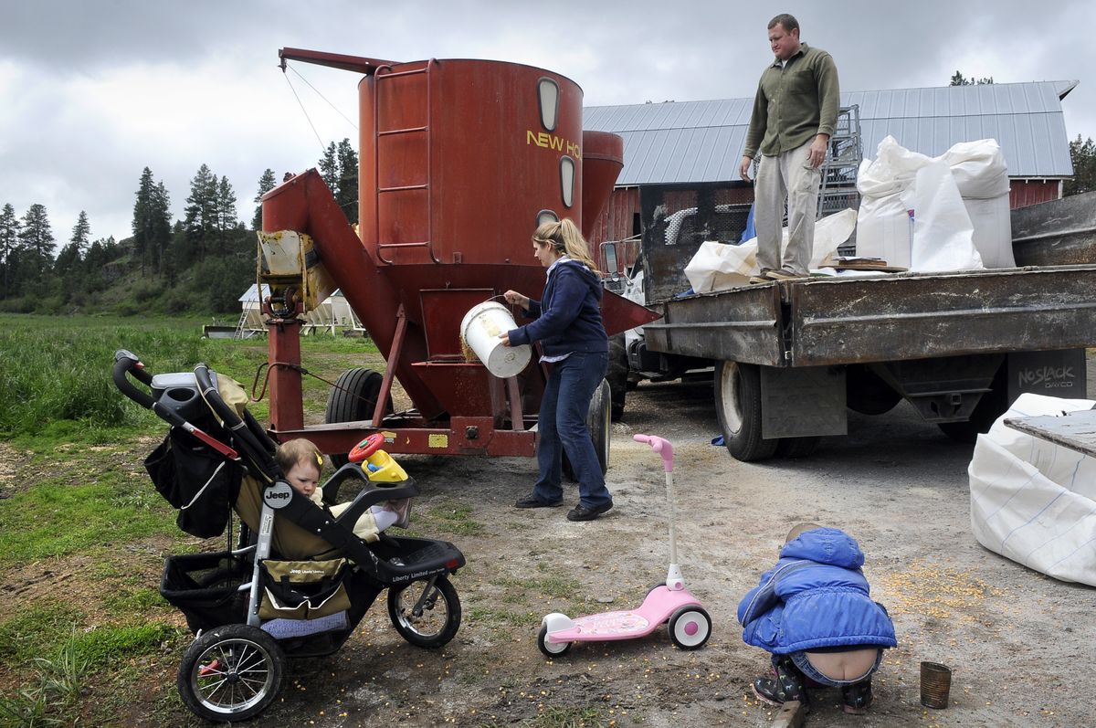 Palouse Pastured Poultry - June 8, 2011 | The Spokesman-Review