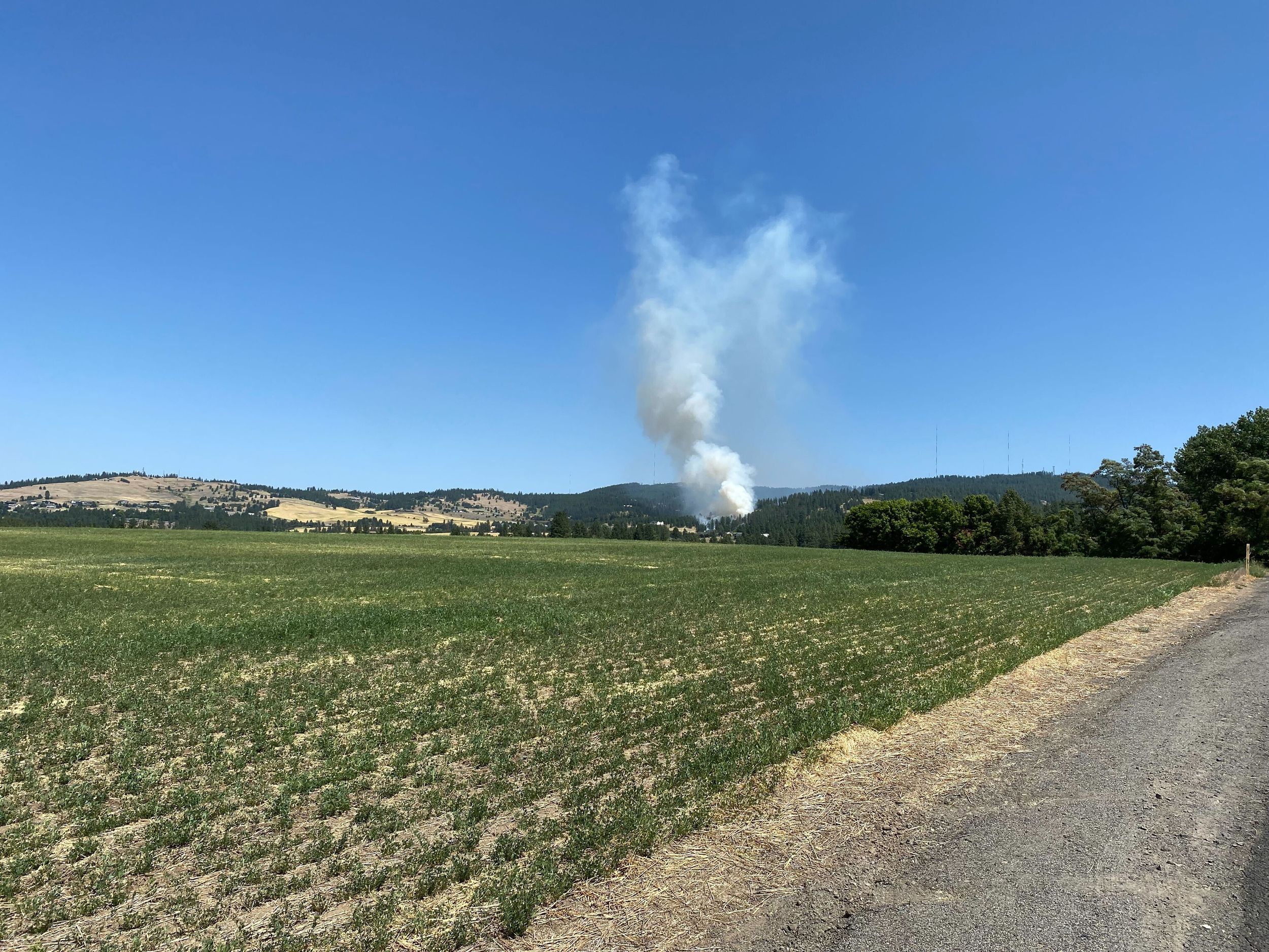 Crews stop growth of wildfire south of Moran Prairie on Sunday afternoon