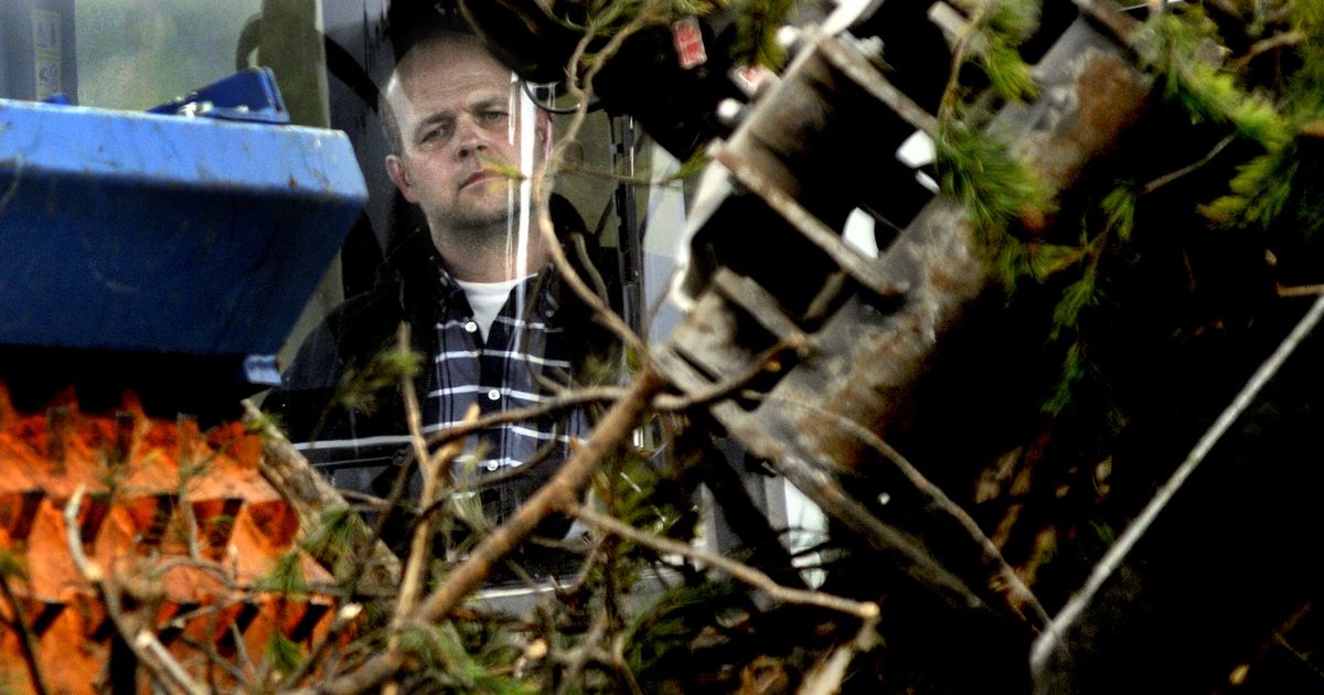 Wood slash becomes biofuel for paper mill