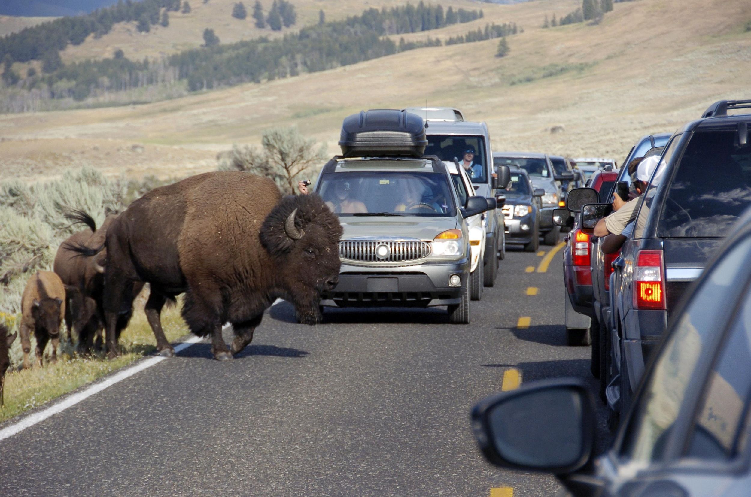 Yellowstone starts opening roads on Friday