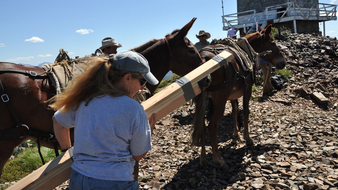 Mule packing to Star Peak - Aug. 10, 2012 | The Spokesman-Review