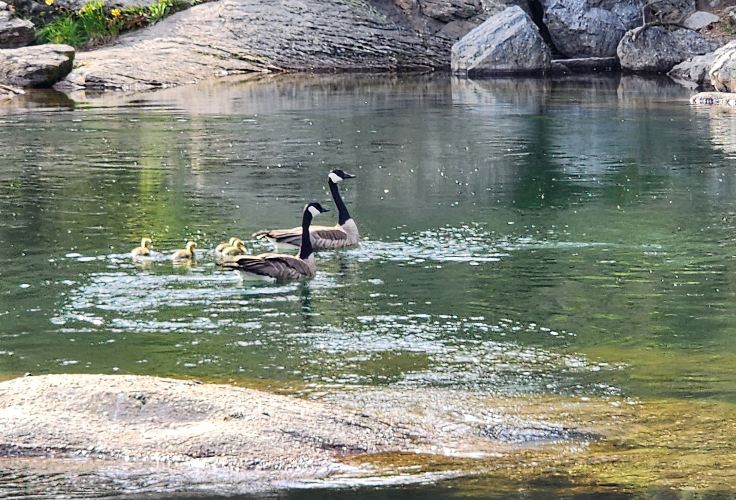 Your Outdoor Photos: March 2024 - March 1, 2024 | The Spokesman-Review