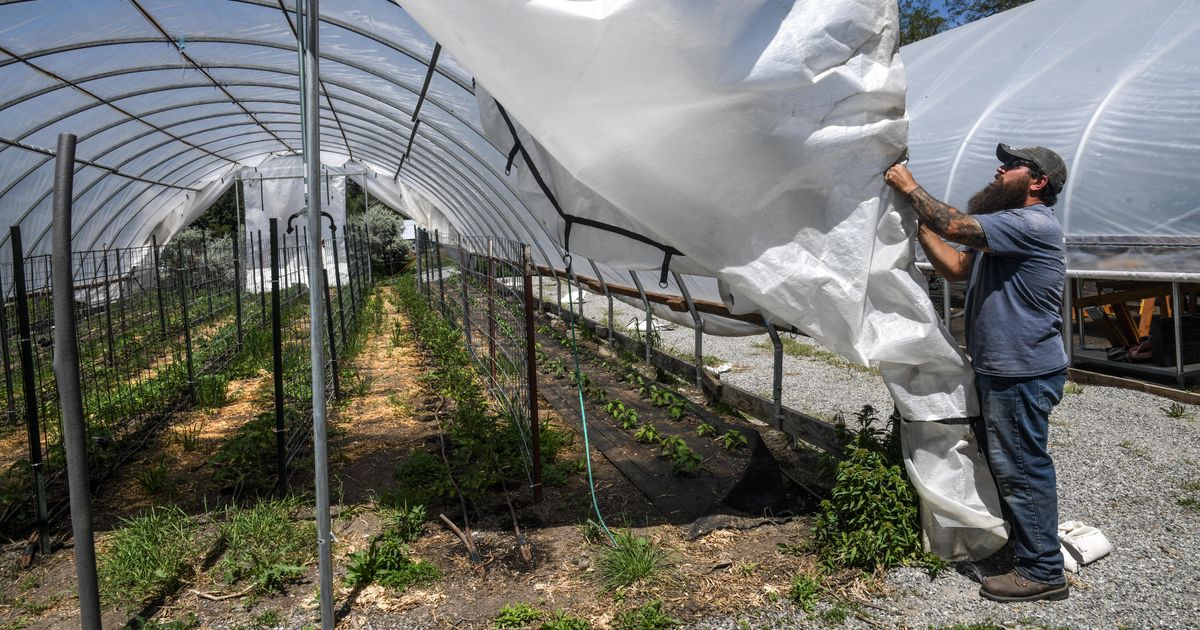 South Spokane Farm Corridor - May 28, 2020 | The Spokesman-Review