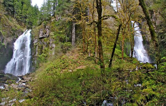 Central Coast Range in Oregon perfect for spring hikes | The Spokesman ...
