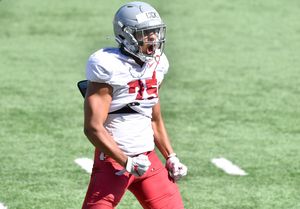 Washington State safety Jaden Hicks named midseason All-American by College Football News | The ...