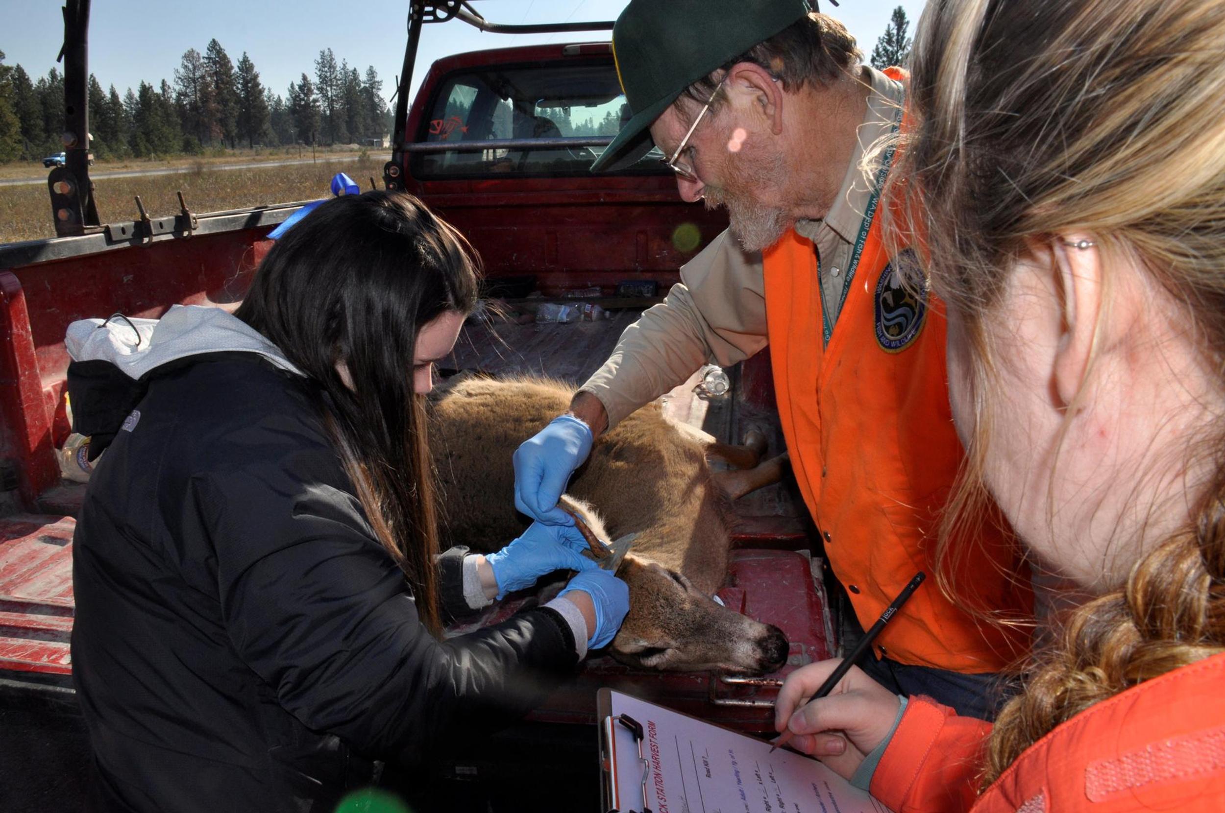 Hunters boost science at check stations