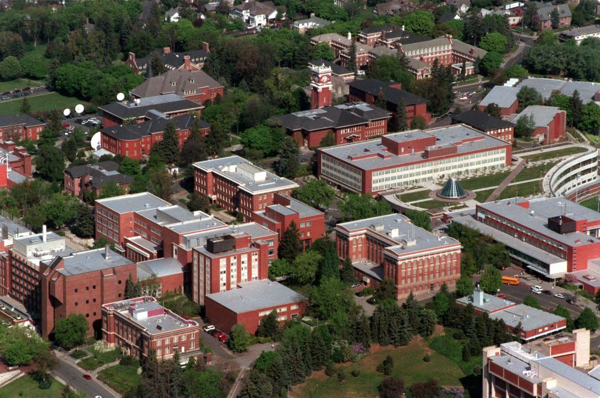 WSU student in critical condition after falling from dorm window WSU student in critical condition after falling from dorm window