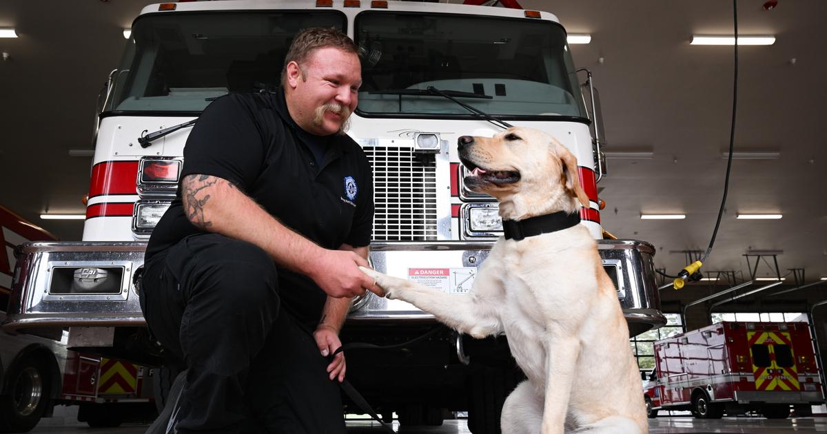 New arson dog brings expertise to Spokane County fire investigations