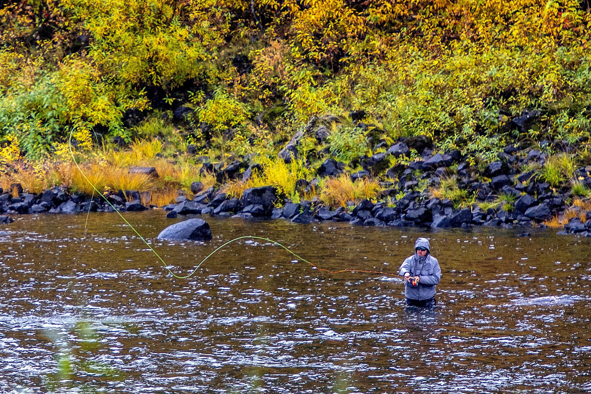 Clearwater steelhead return off to surprising start