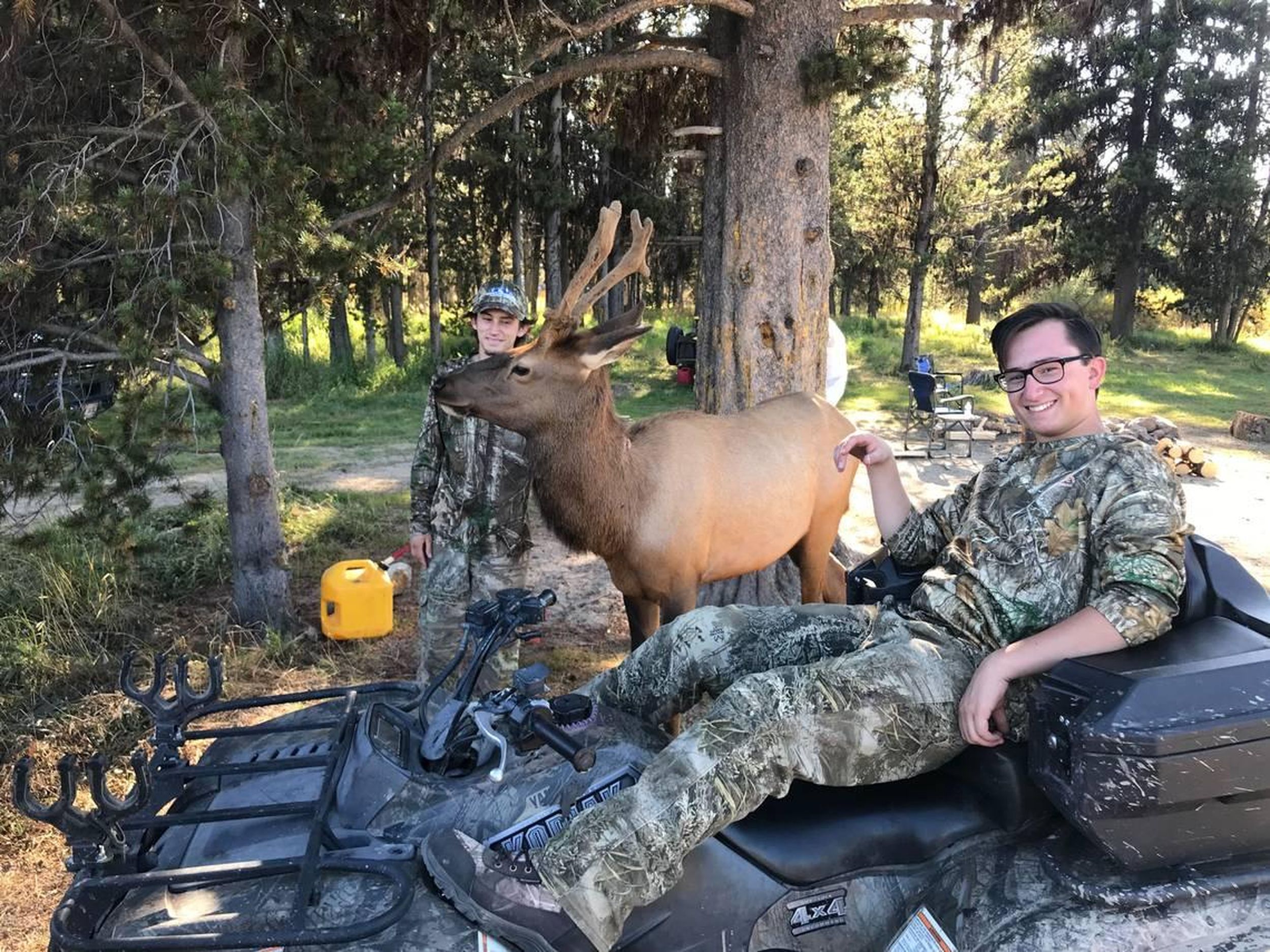 Officials capture Elliott the elk after he befriends hunters