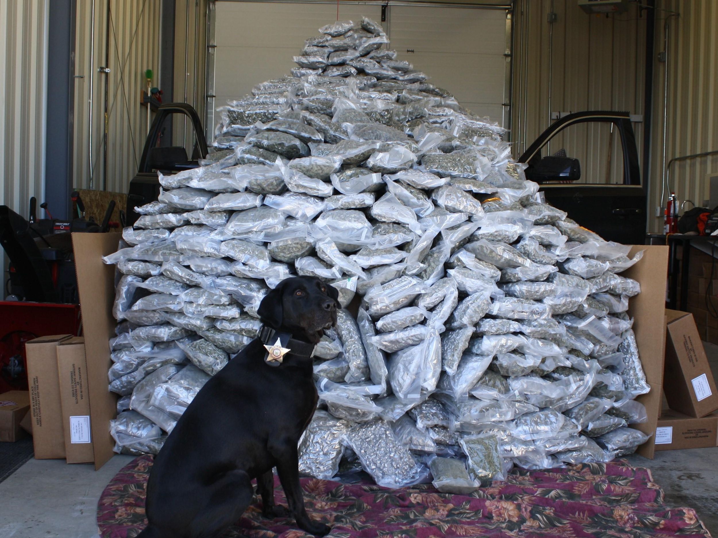 20 Pounds Of Weed
