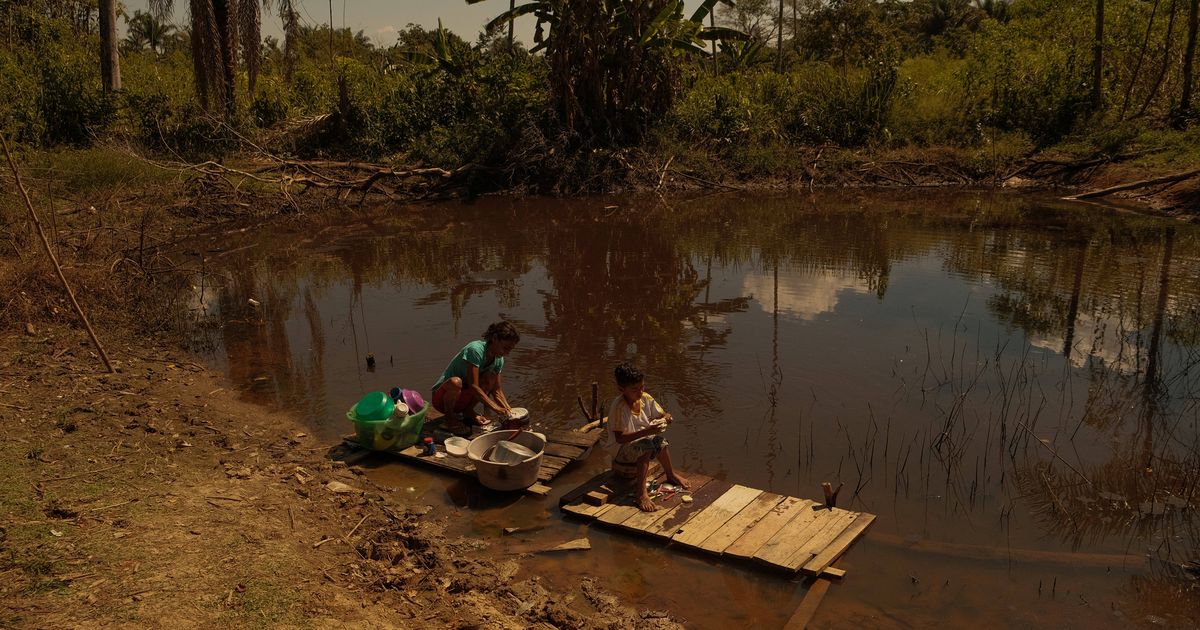 As the Amazon rainforest goes dry, a desperate wait for water | The ...