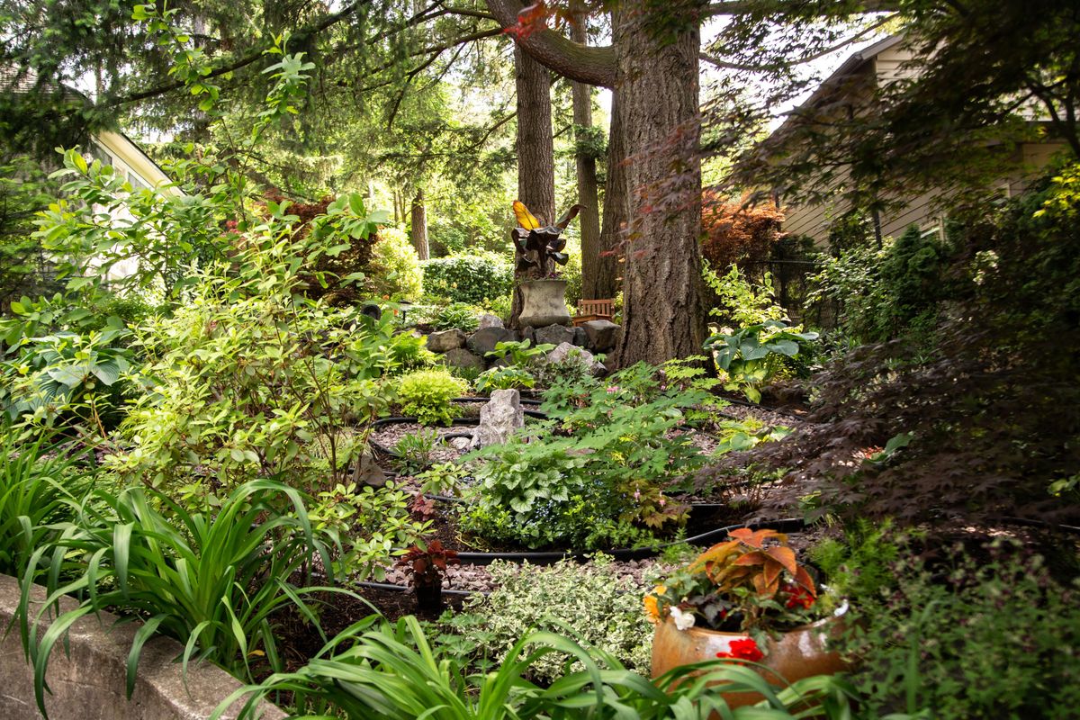 Spokane in Bloom: Jim Jackson and Nancy Caputo's garden - June 8, 2019 ...