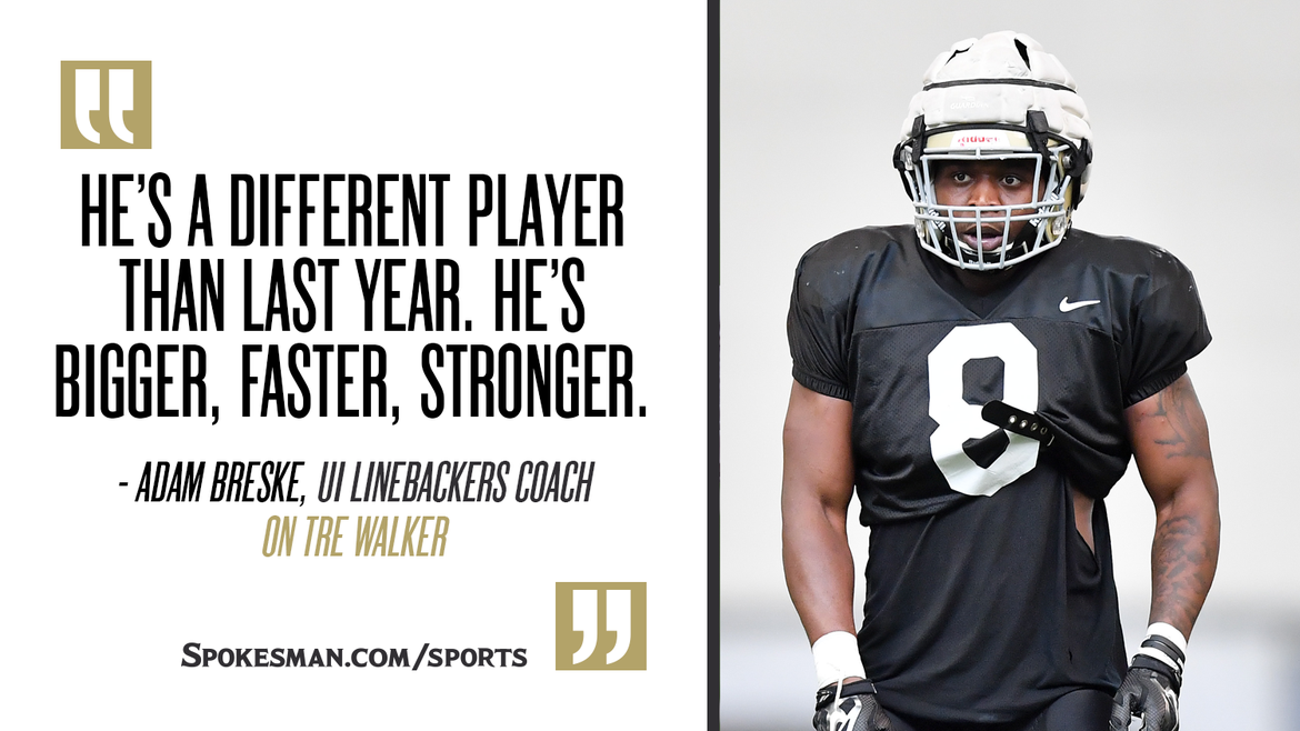 ‘Bigger, faster, stronger’ Tre Walker fills big hole in the middle of ...