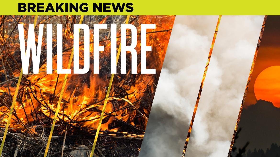 Lightning-sparked wildfire has burned 1,000 acres near Little Pend ...