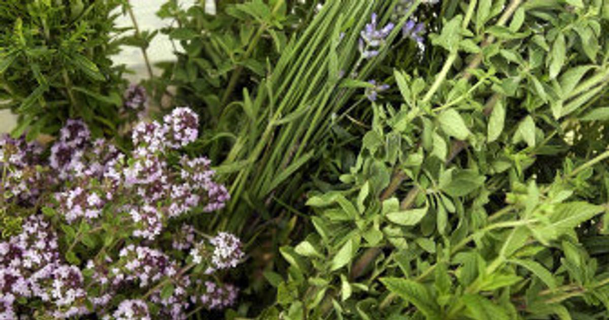 Add spice to your life | The Spokesman-Review