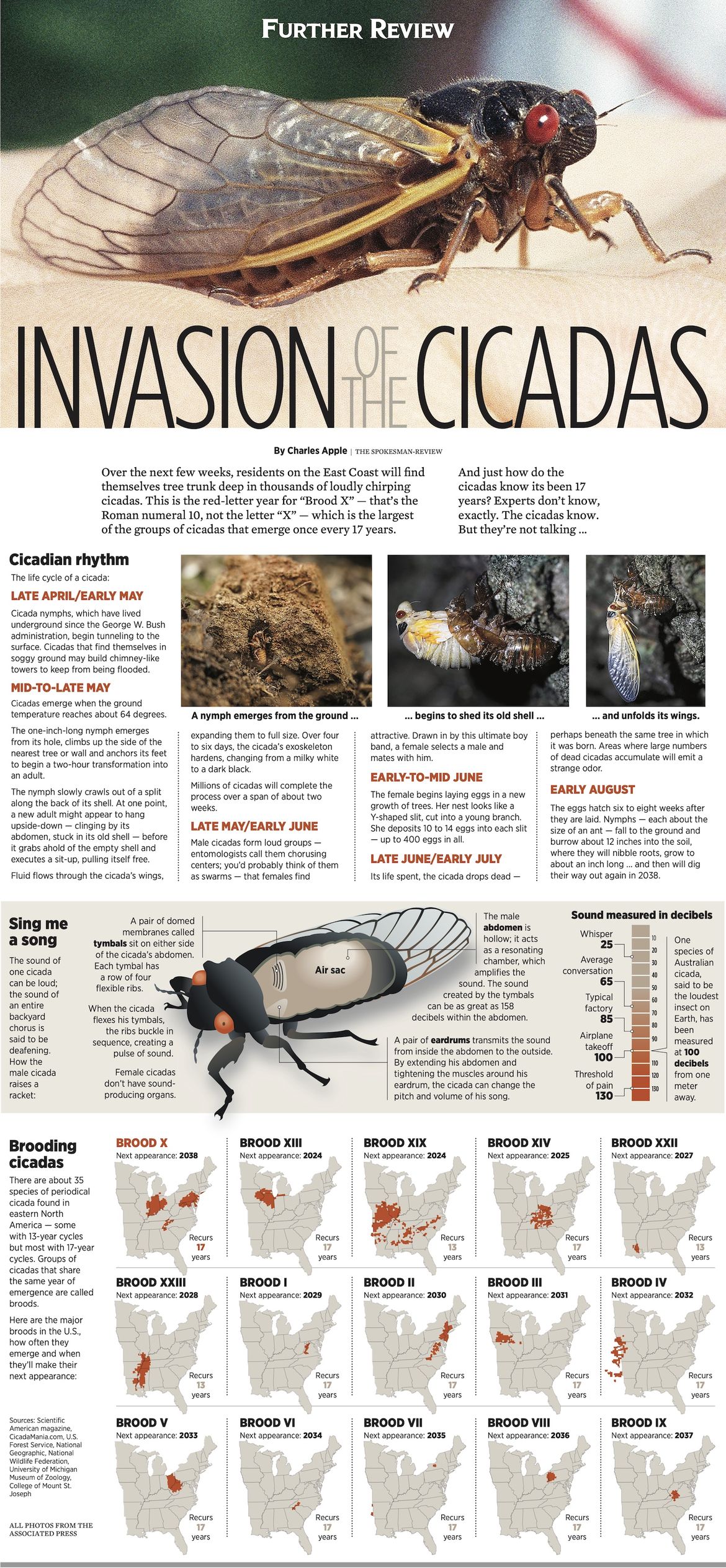 Invasion of the cicadas | The Spokesman-Review