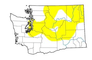 Scientists ‘optimistic’ about improving drought conditions in ...