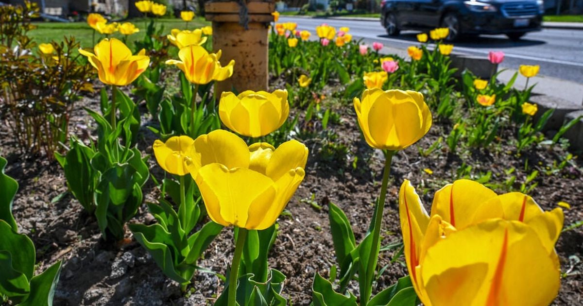 Weathercatch: Two stints of unusual springtime heat surprise region's ...