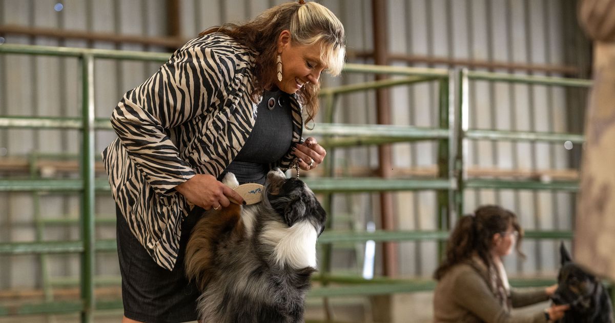 100 dogs put their best paws forward at Spokane Valley dog show