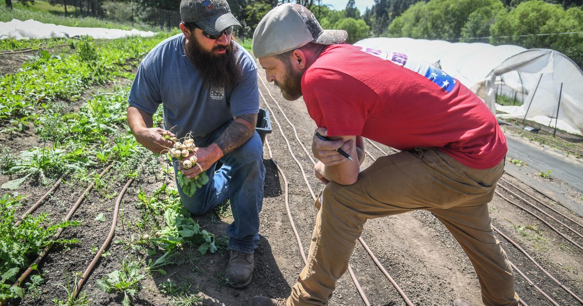 Spokane area farmers offering fresh produce without crowds