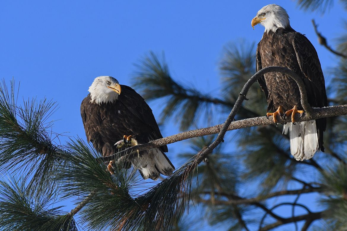 Reader photo: No sharing at Higgens Point | The Spokesman-Review