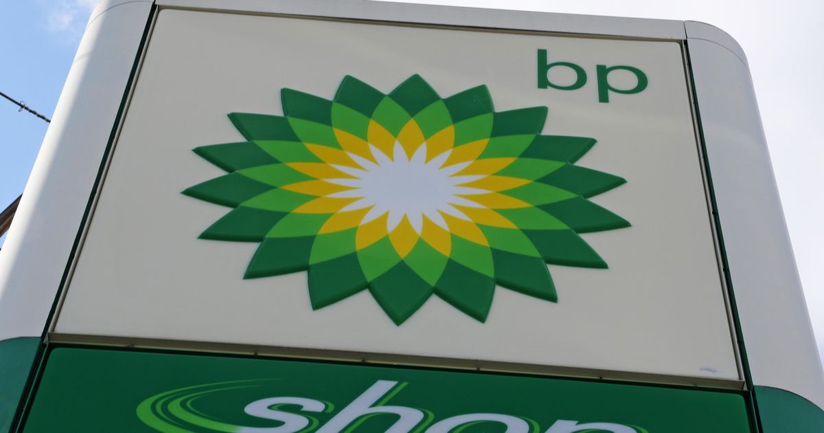 BP backs shareholder initiative on climate plan disclosure