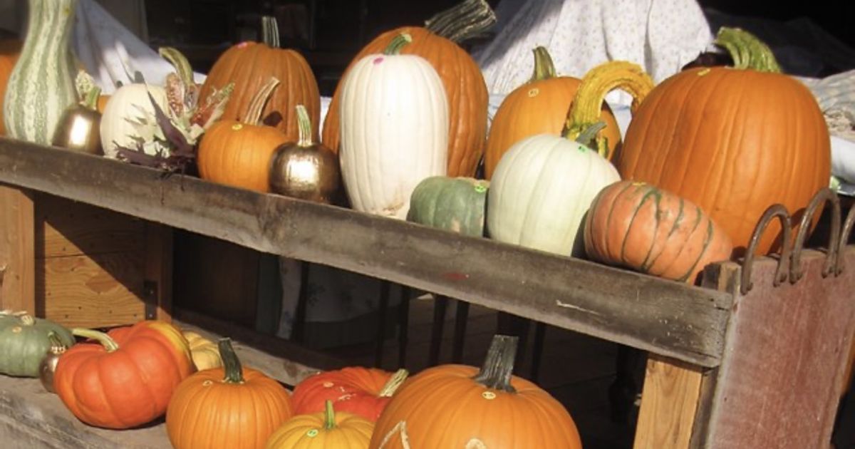 Things to do in Spokane: Oct. 23-30