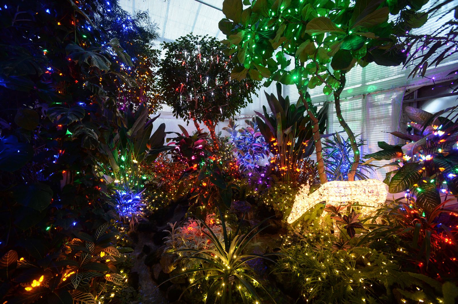 Holiday Lights at Gaiser Conservatory - Dec. 15, 2013 | The Spokesman ...