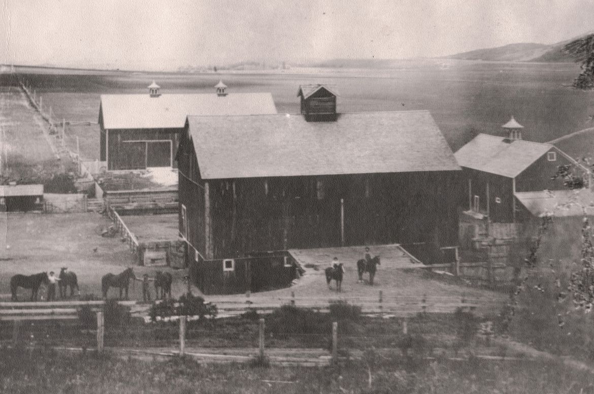 Morrison Ranch barns