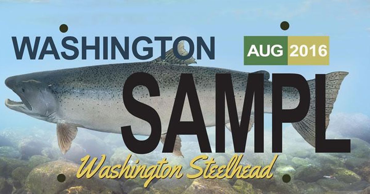 Fishing briefs: Steelhead license plate approved